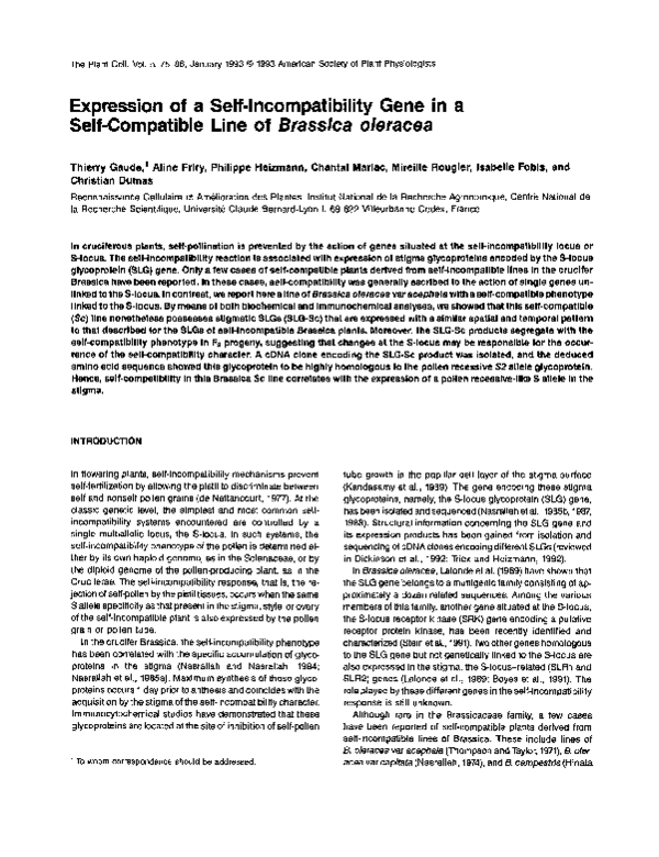 (PDF) Expression of a Self-Incompatibility Gene in a Self-Compatible ...