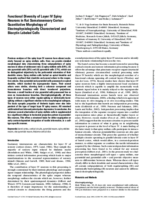 (PDF) Functional Diversity of Layer IV Spiny Neurons in Rat Somatosensory Cortex: Quantitative ...