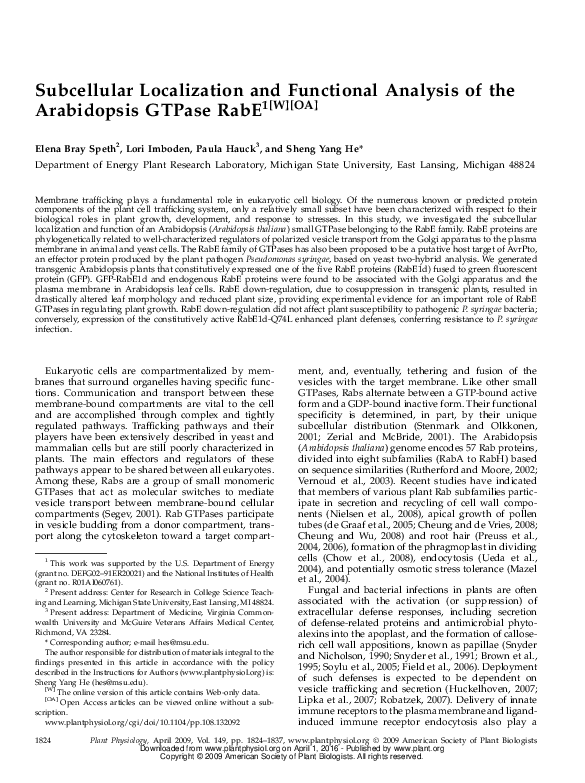 (PDF) Subcellular Localization and Functional Analysis of the