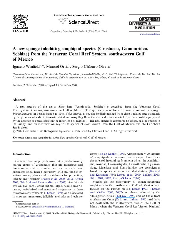 (PDF) Two new Mediterranean Stenothoe (Crustacea, Amphipoda) from the ...
