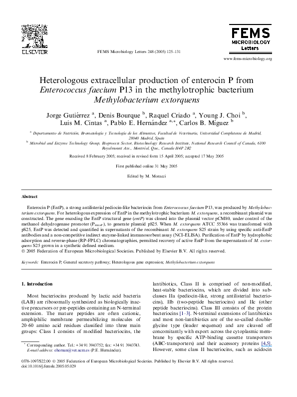 (PDF) Heterologous extracellular production of enterocin P from ...