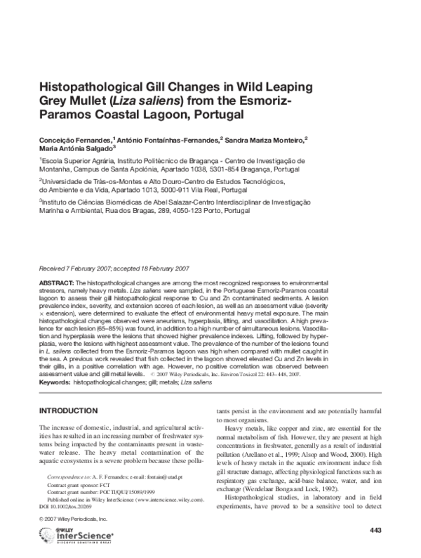 (PDF) Histopathological gill changes in wild leaping grey mullet (Liza ...