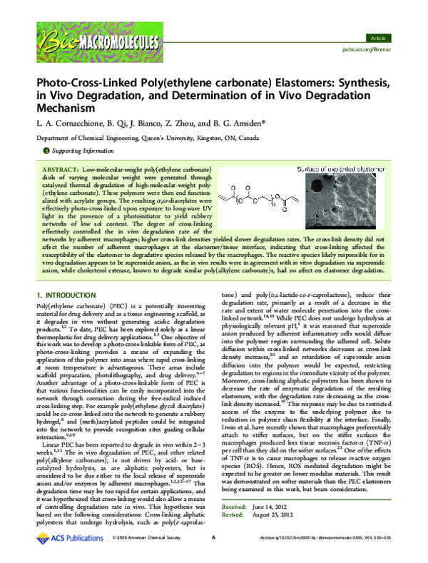 (PDF) Photo-Cross-Linked Poly(ethylene carbonate) Elastomers: Synthesis ...