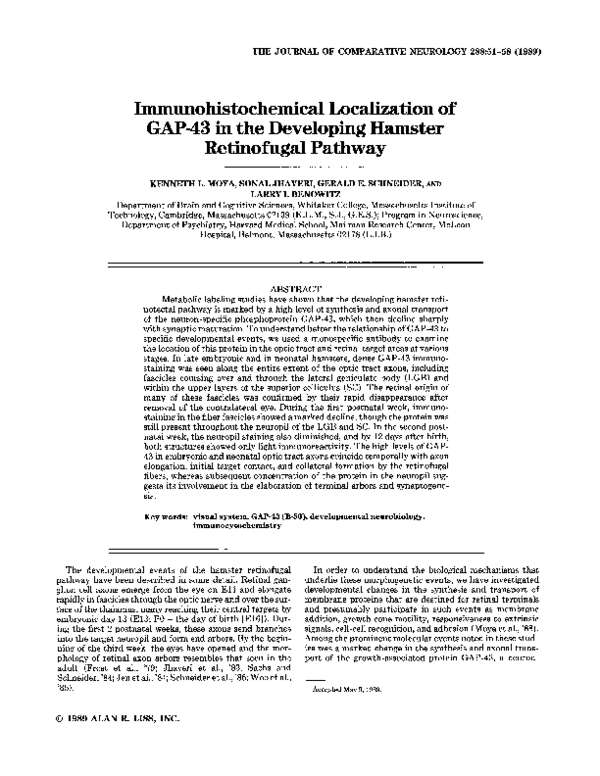 (PDF) Immunohistochemical localization of GAP-43 in the developing ...