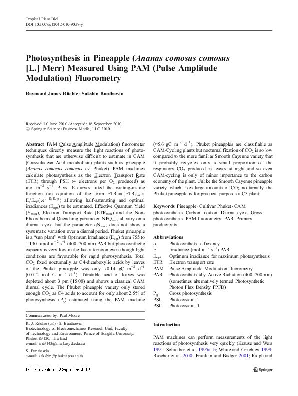 (PDF) Photosynthesis in Pineapple (Ananas comosus comosus [L.] Merr ...