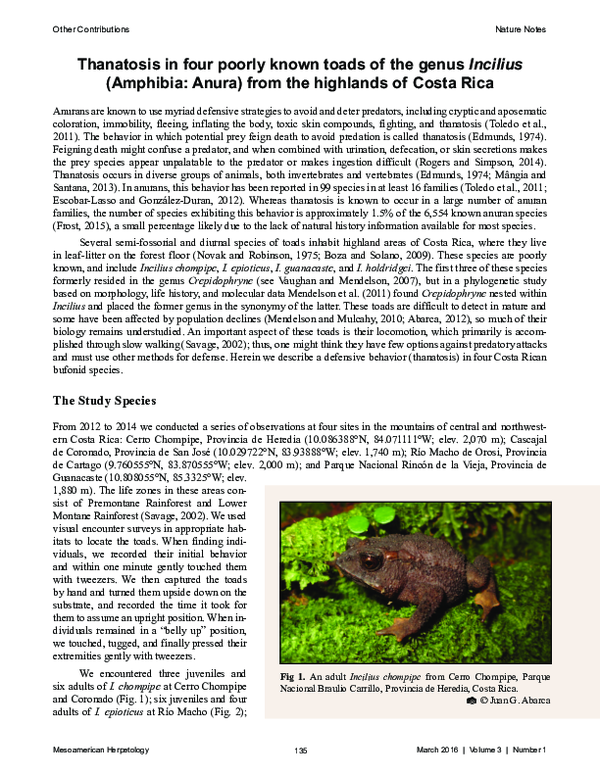 (PDF) Thanatosis in four poorly known toads of the genus Incilius ...