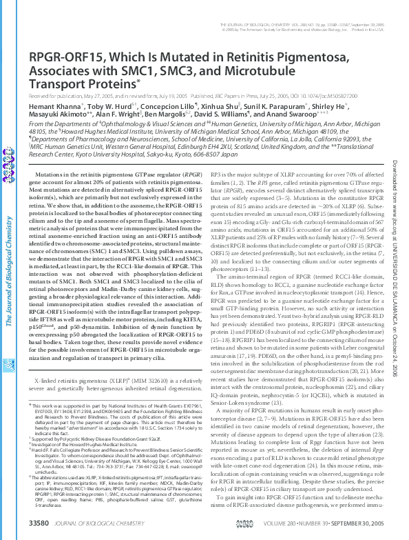 (PDF) RPGR-ORF15, Which Is Mutated in Retinitis Pigmentosa, Associates ...