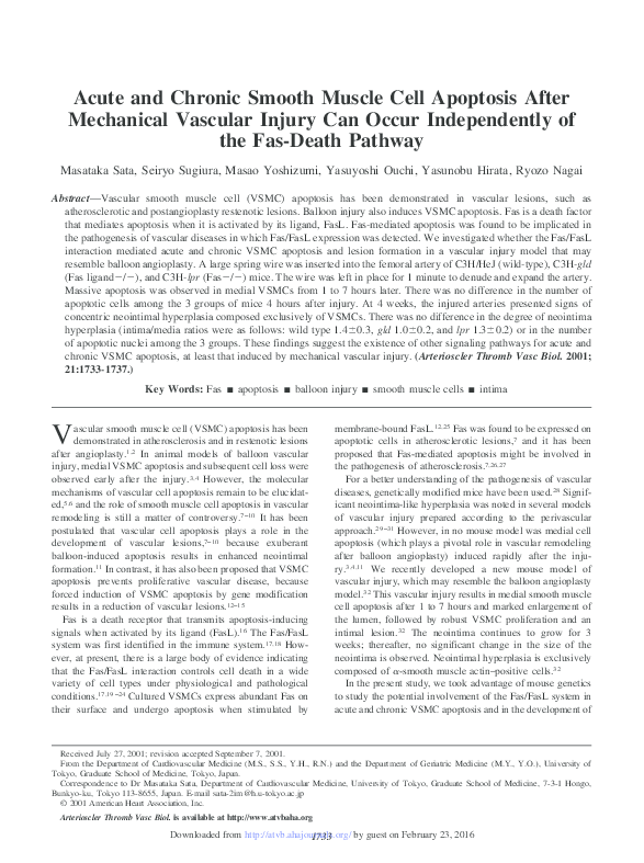 (PDF) Acute and Chronic Smooth Muscle Cell Apoptosis After Mechanical ...