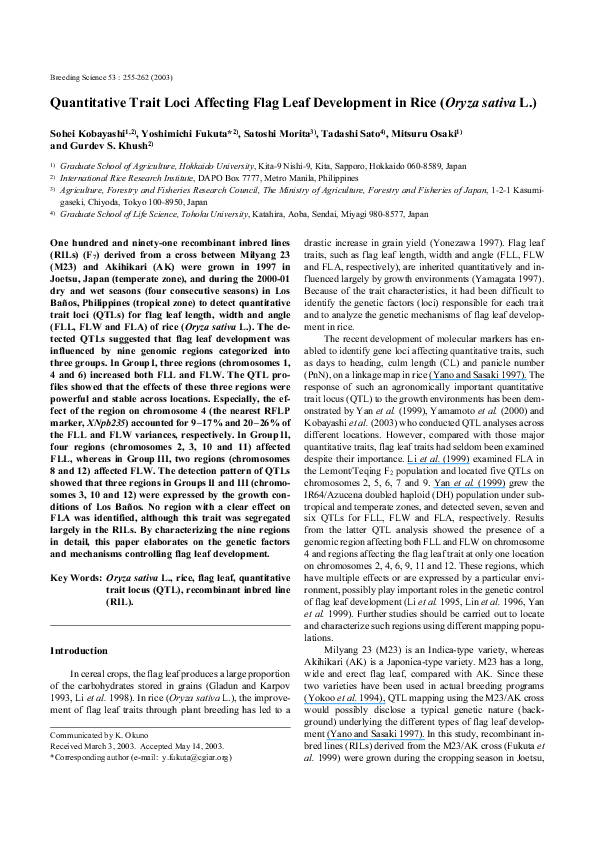Pdf Quantitative Trait Loci Affecting Flag Leaf Development In Rice Oryza Sativa L