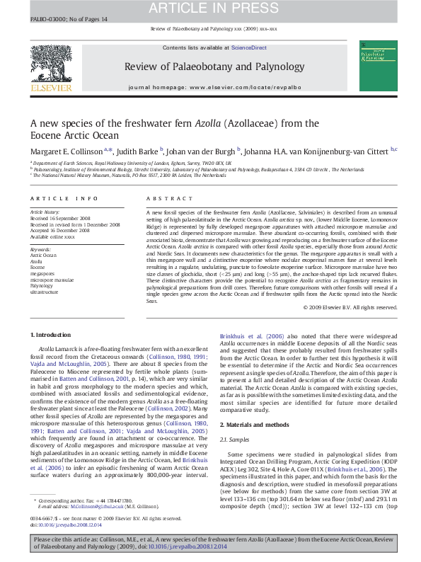 (PDF) A new species of the freshwater fern Azolla (Azollaceae) from the ...