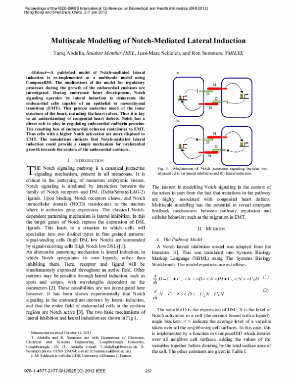 (PDF) Multiscale modelling of Notch-mediated lateral induction