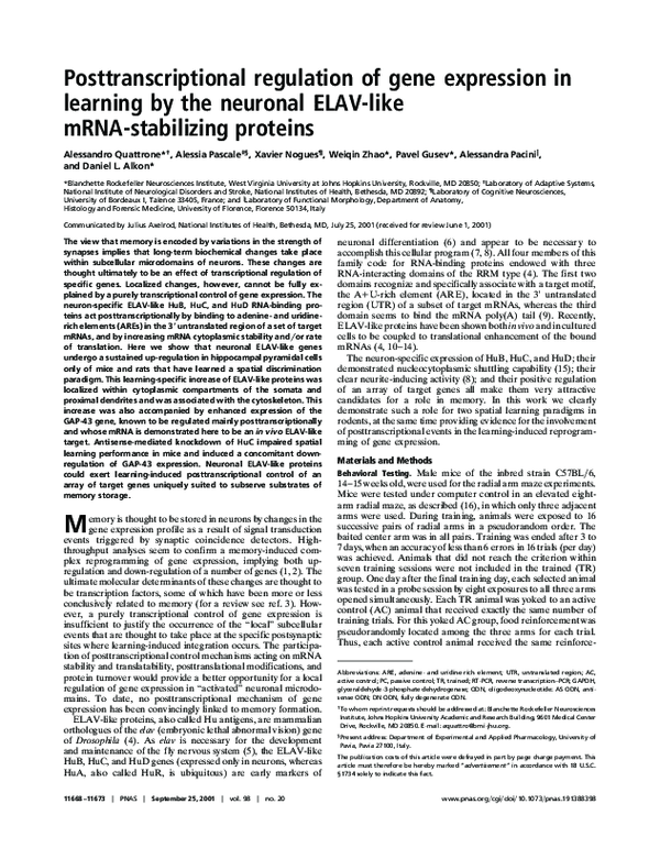 (PDF) Posttranscriptional regulation of gene expression in learning by ...