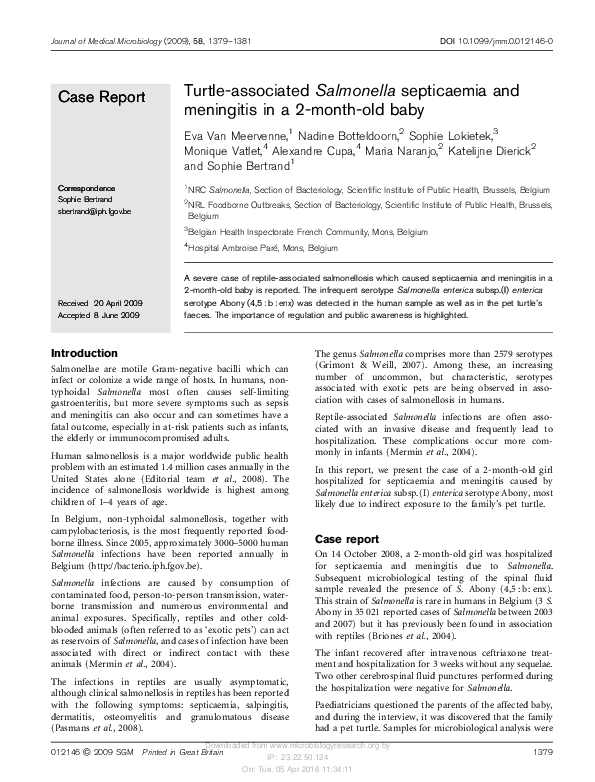 (PDF) Turtle-associated Salmonella septicaemia and meningitis in a 2 ...