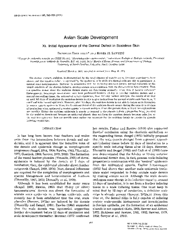 (PDF) Avian scale development