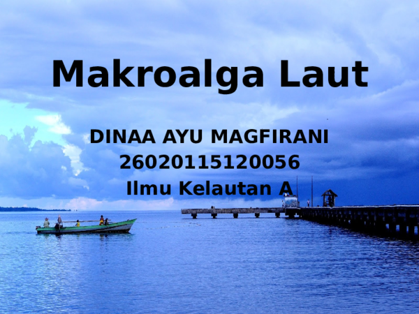 (PPT) Makroalga Laut DAM