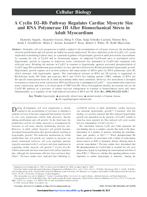 (PDF) A Cyclin D2-Rb Pathway Regulates Cardiac Myocyte Size and RNA ...