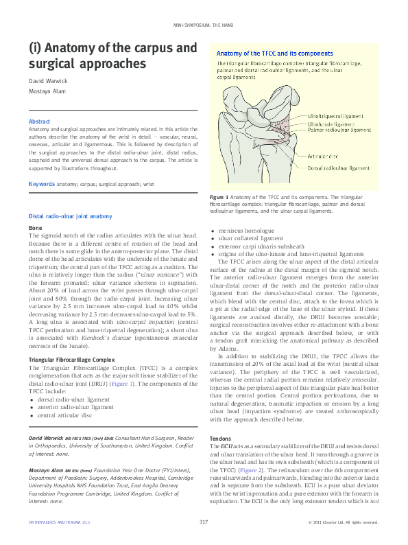 (PDF) (i) Anatomy of the carpus and surgical approaches