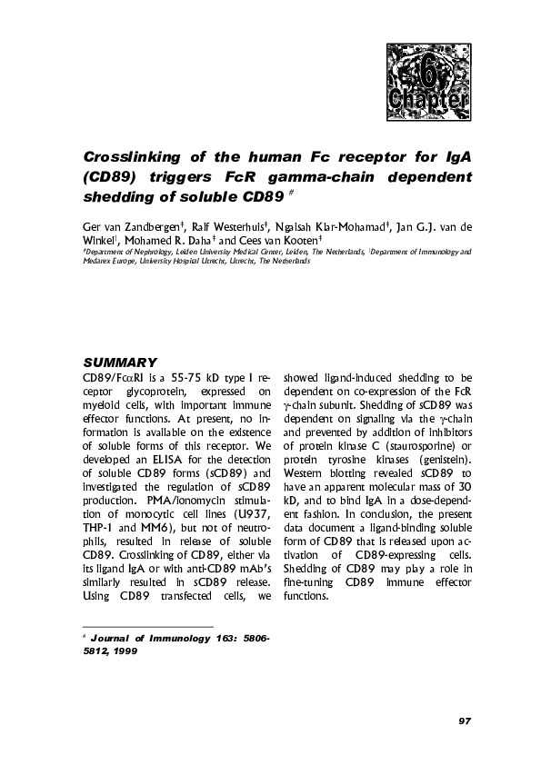 (PDF) Crosslinking of the human Fc receptor for IgA (CD89) triggers FcR ...