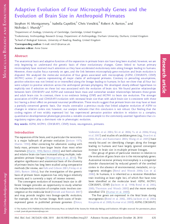 (PDF) Adaptive Evolution of Four Microcephaly Genes and the Evolution ...