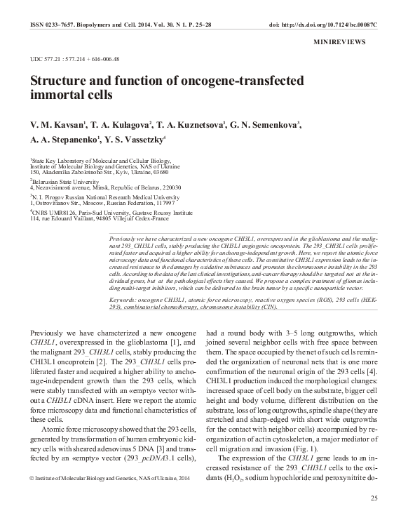 (PDF) Structure and function of oncogene-transfected immortal cells