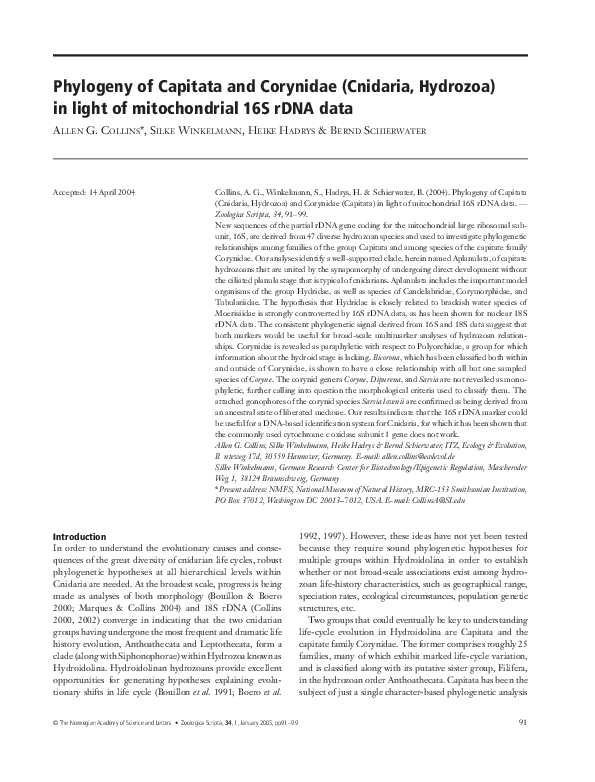 (PDF) Phylogeny of Capitata and Corynidae (Cnidaria, Hydrozoa) in light ...