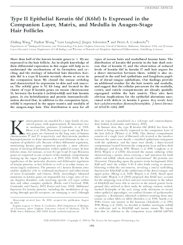 (PDF) Type II Epithelial Keratin 6hf (K6hf) Is Expressed in the ...