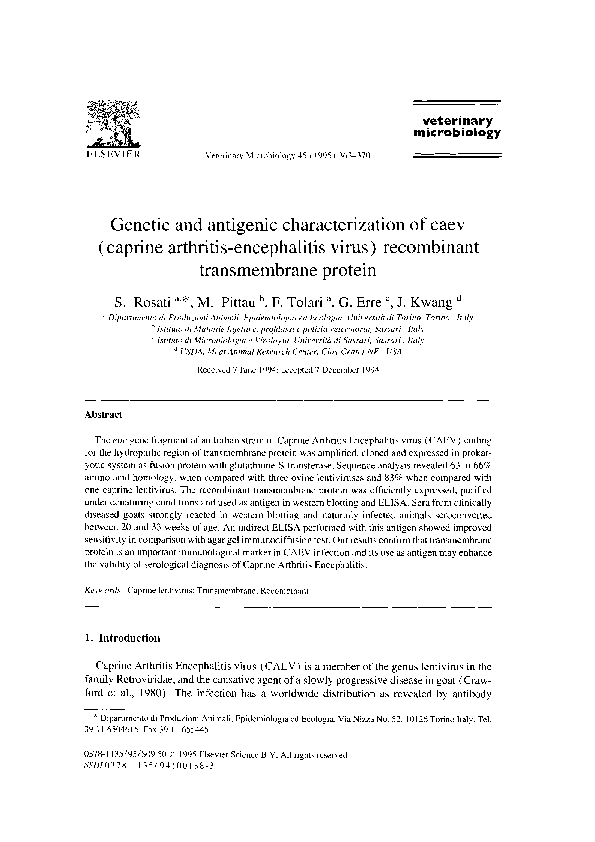 (PDF) Genetic and antigenic characterization of caev (caprine arthritis ...