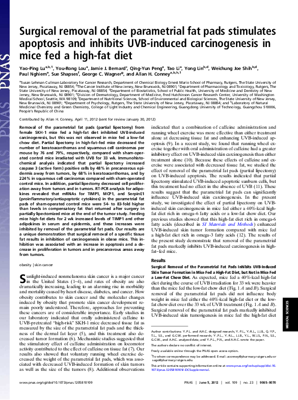 (PDF) Surgical removal of the parametrial fat pads stimulates apoptosis ...