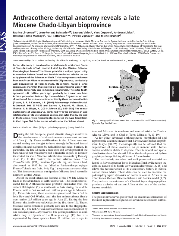 (PDF) Anthracothere dental anatomy reveals a late Miocene Chado-Libyan ...