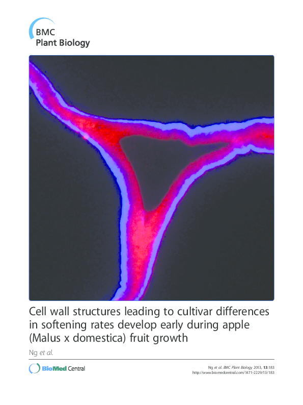 (PDF) Cell wall structures leading to cultivar differences in softening ...