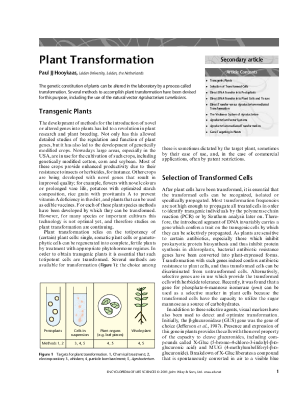 (PDF) Plant Transformation