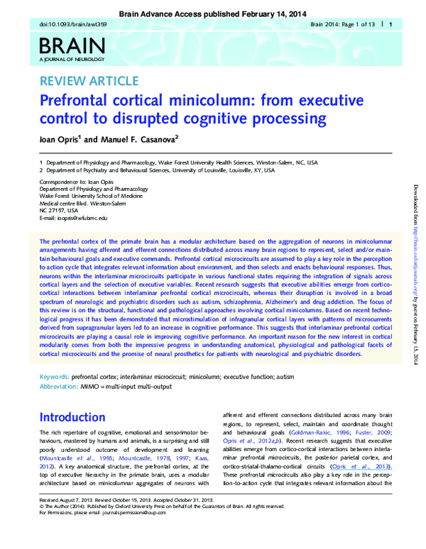 (PDF) Prefrontal cortical minicolumn: from executive control to ...