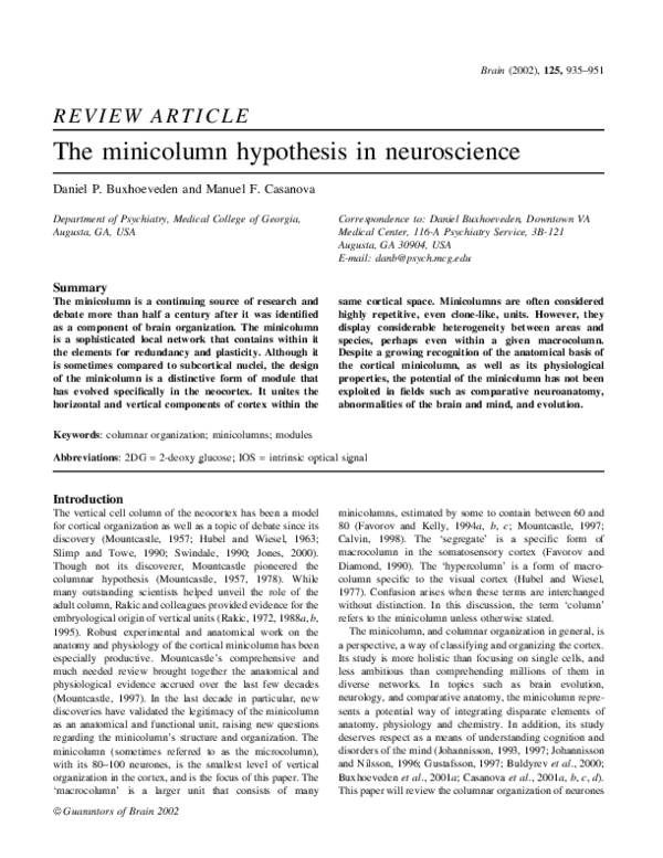 (PDF) The minicolumn hypothesis in neuroscience