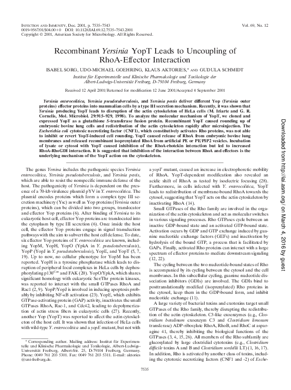 (PDF) Recombinant Yersinia YopT Leads to Uncoupling of RhoA-Effector ...