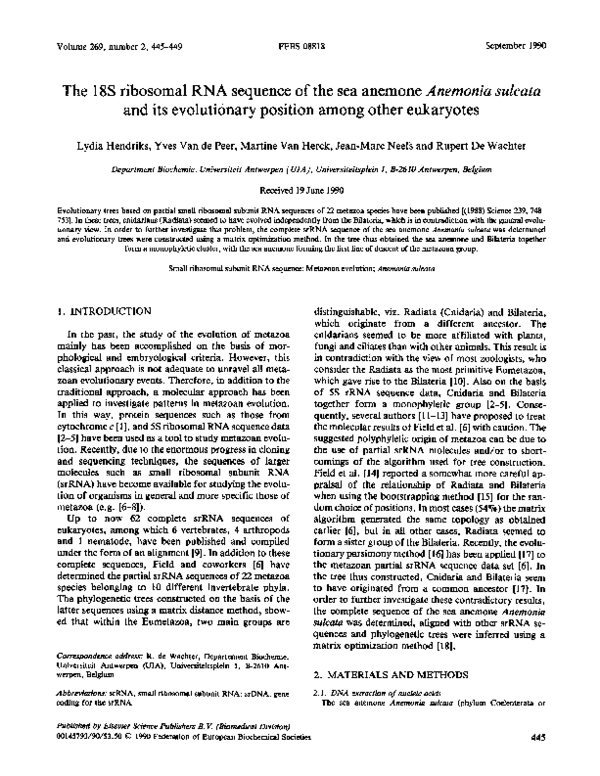 (PDF) The 18S ribosomal RNA sequence of the sea anemone Ammonia sulcata ...