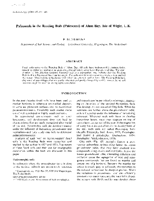 (PDF) Palaeosols in the Reading Beds (Paleocene) of Alum Bay, Isle of ...