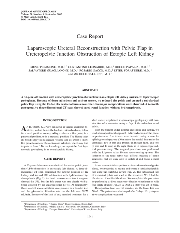 (PDF) Case Report: Laparoscopic Ureteral Reconstruction with Pelvic ...