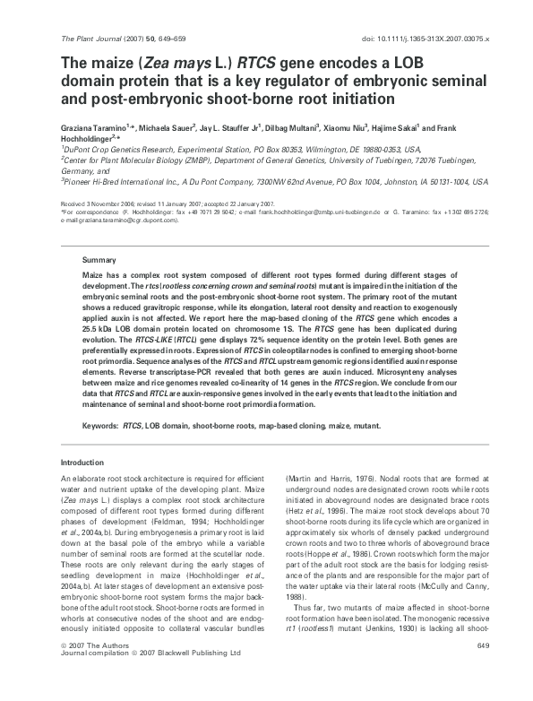 (PDF) The maize (Zea mays L.) RTCS gene encodes a LOB domain protein ...
