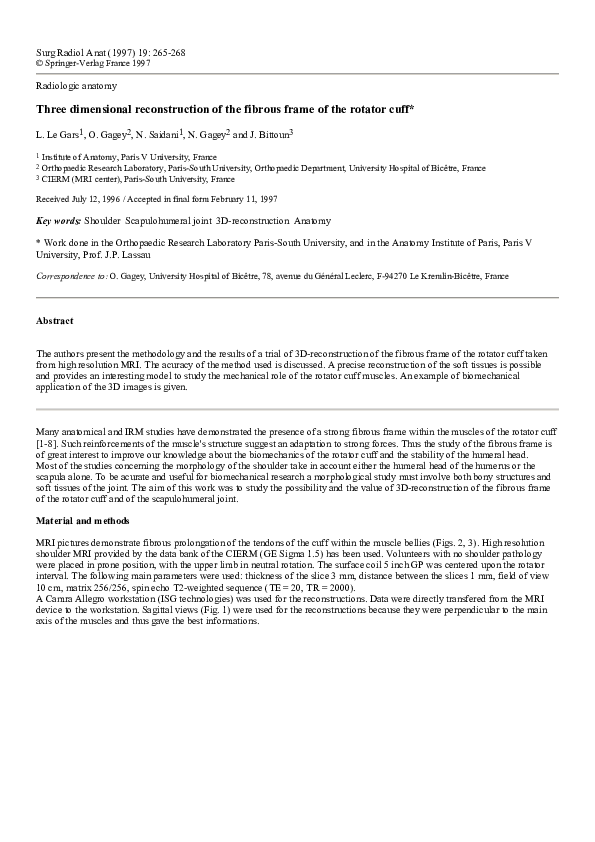 (PDF) Three dimensional reconstruction of the fibrous frame of the ...