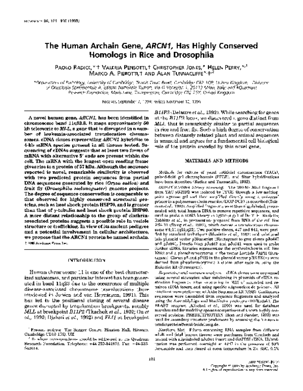 (PDF) The human archain gene, ARCN1, has highly conserved homologs in ...
