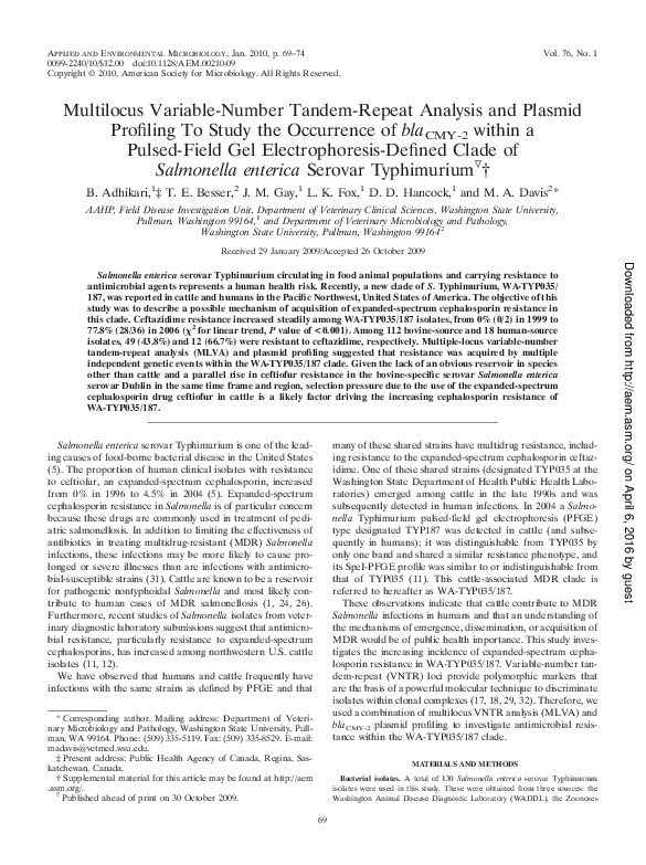 (PDF) Multilocus Variable-Number Tandem-Repeat Analysis and Plasmid Profiling To Study the ...