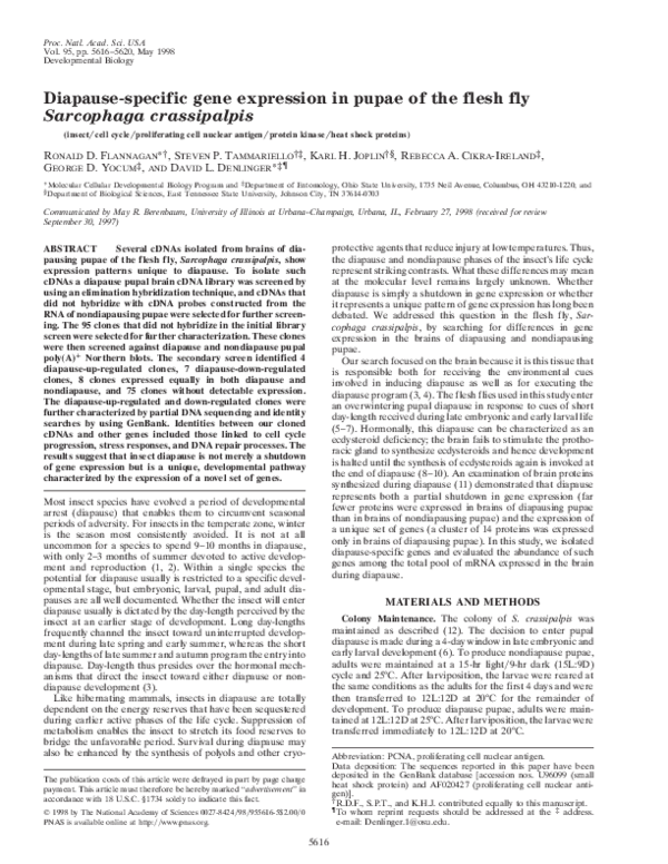 (PDF) Diapause-specific gene expression in pupae of the flesh fly ...