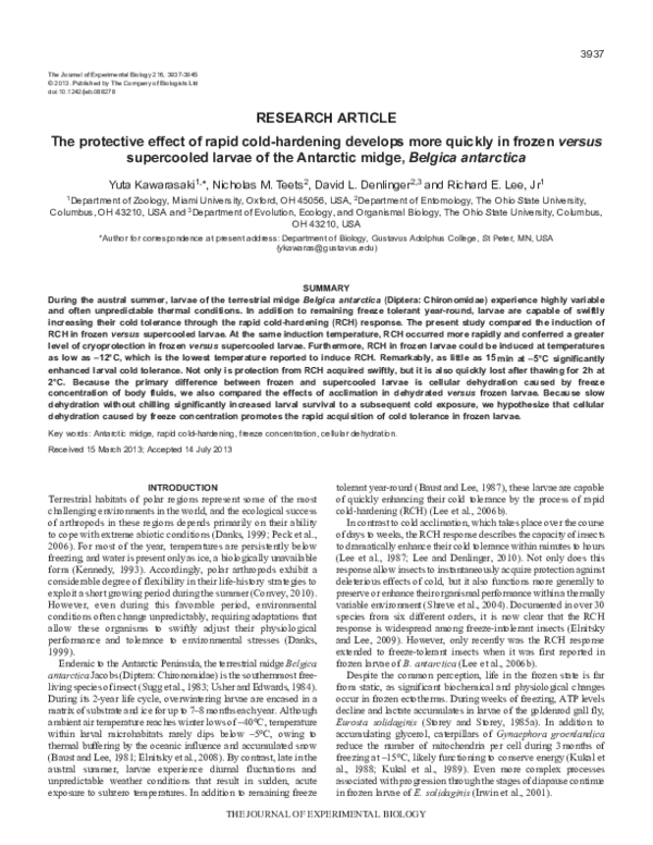 (PDF) The protective effect of rapid cold-hardening develops more ...