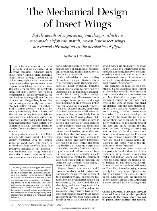 (PDF) The Mechanical Design of Insect Wings