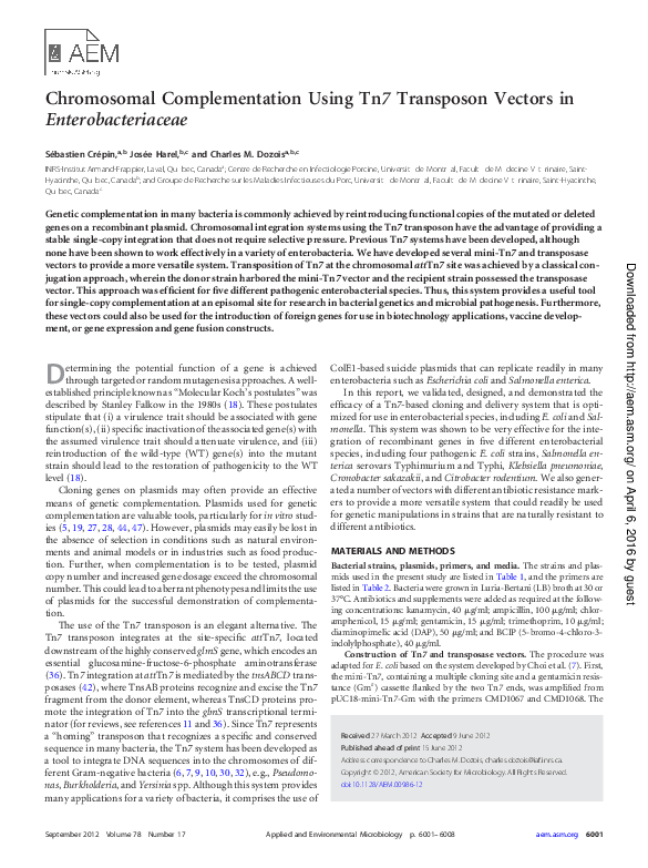(PDF) Tn7 Transposon Vectors for Enterobacteriaceae
