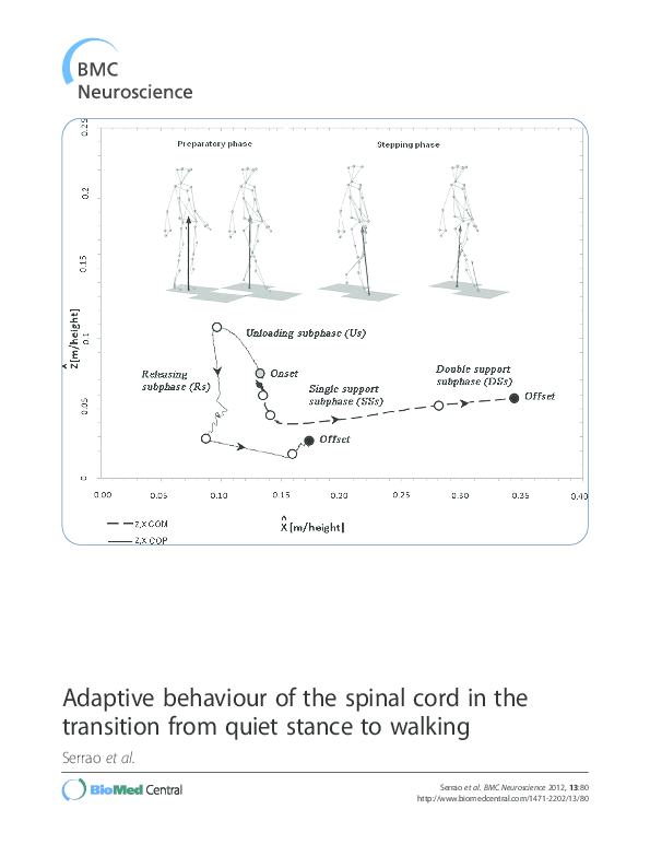 (PDF) Adaptive behaviour of the spinal cord in the transition from ...
