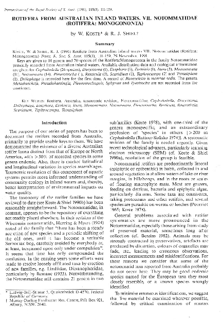 (PDF) Rotifera from Australian inland waters. VII. Notommatidae ...