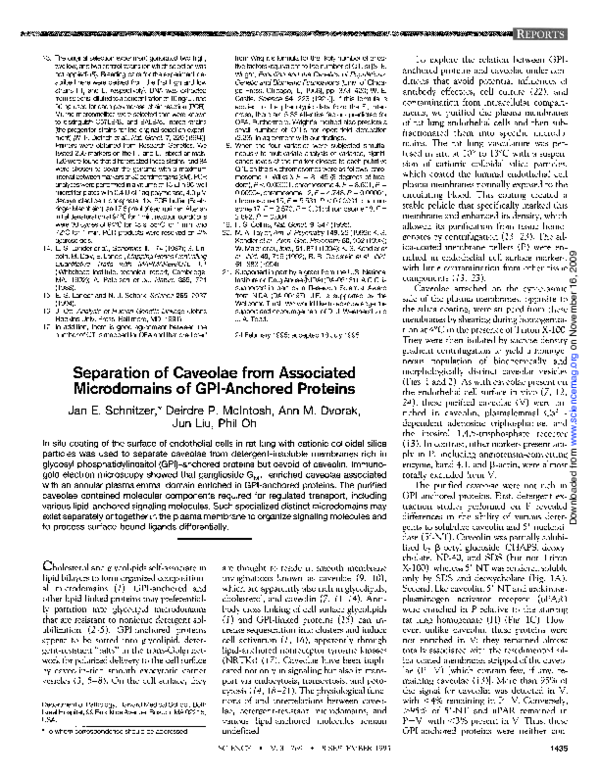 (PDF) Separation of caveolae from associated microdomains of GPI ...