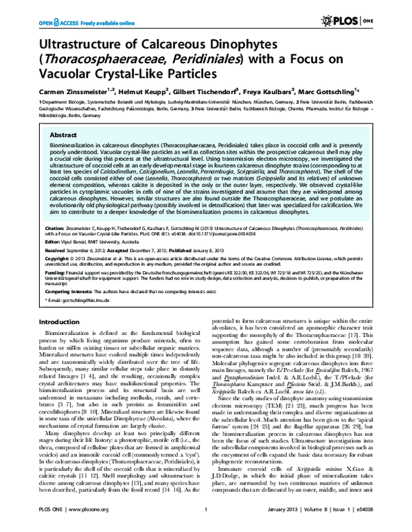 (PDF) Ultrastructure of Calcareous Dinophytes (Thoracosphaeraceae ...