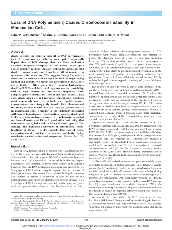 (PDF) Loss of DNA Polymerase Z Causes Chromosomal Instability in ...